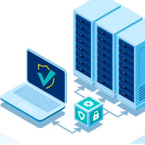 Buy Windows Server 2022 Remote Desktop Services 50 USER Connections Cd ...